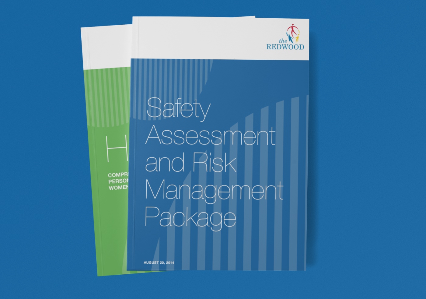 Safety Assessment and Risk Management Package - There Management Consulting